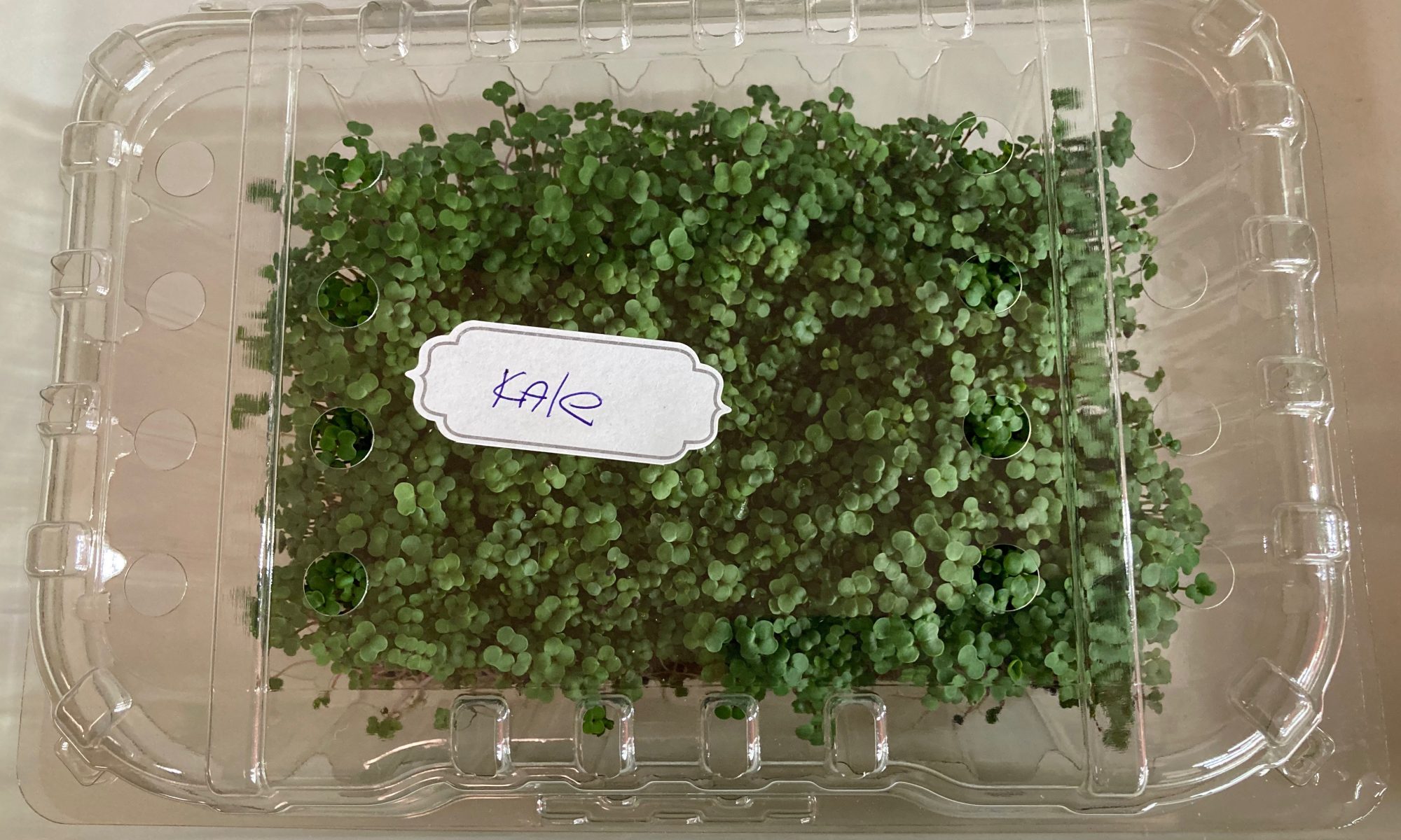 Become a Member – New Leaf Flavors